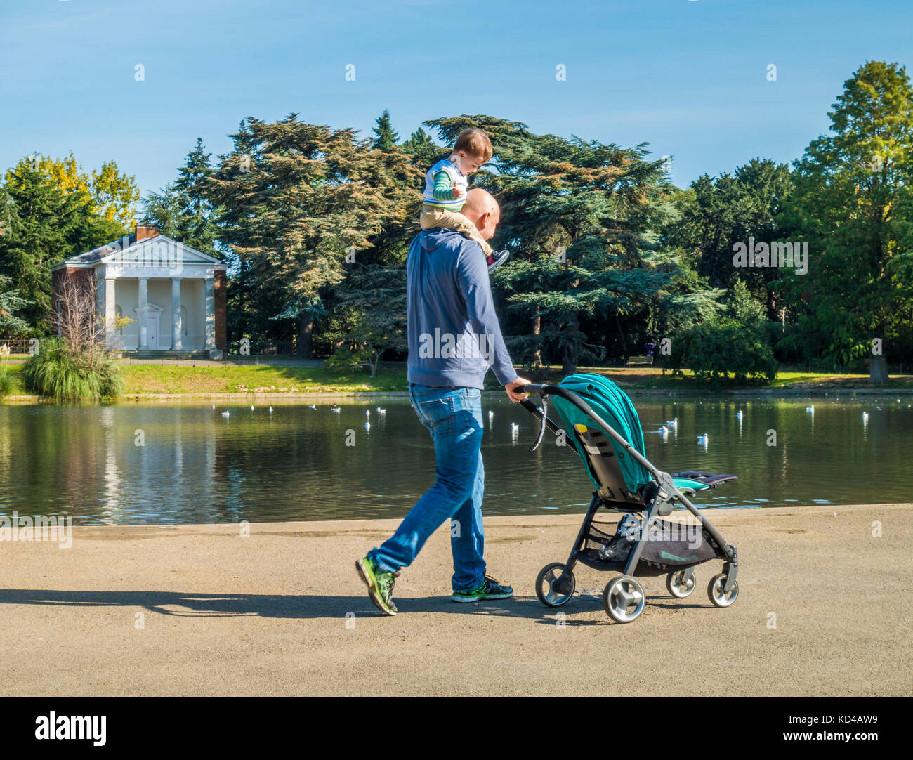 Man pushing buggy hi-res stock photography and images - Alamy