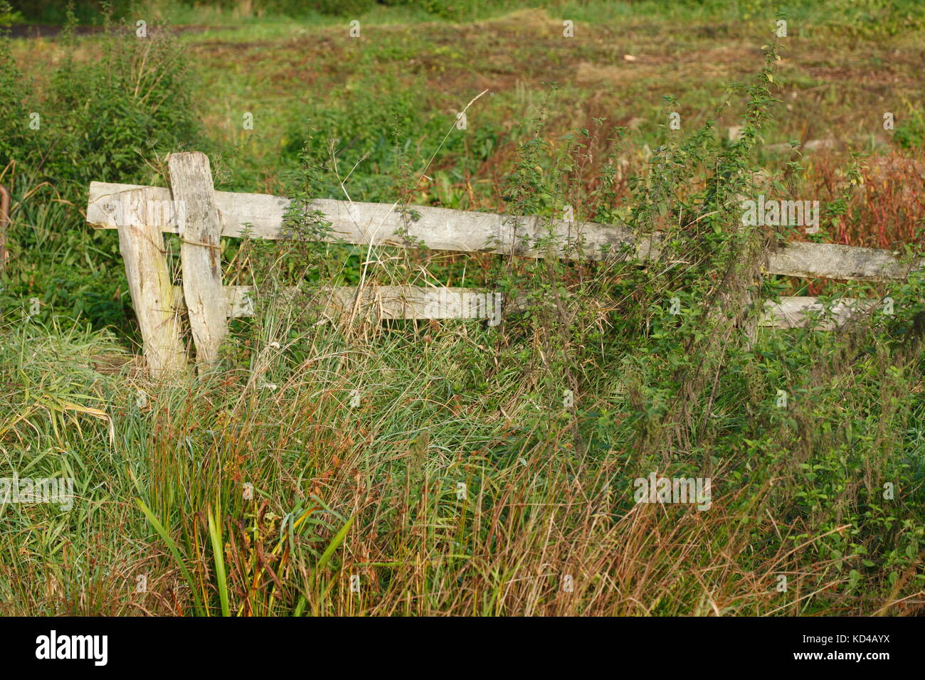 old Wooden meadow fence Stock Photo - Alamy