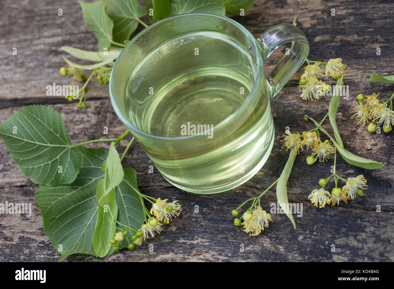Lime tree tea hi-res stock photography and images - Alamy