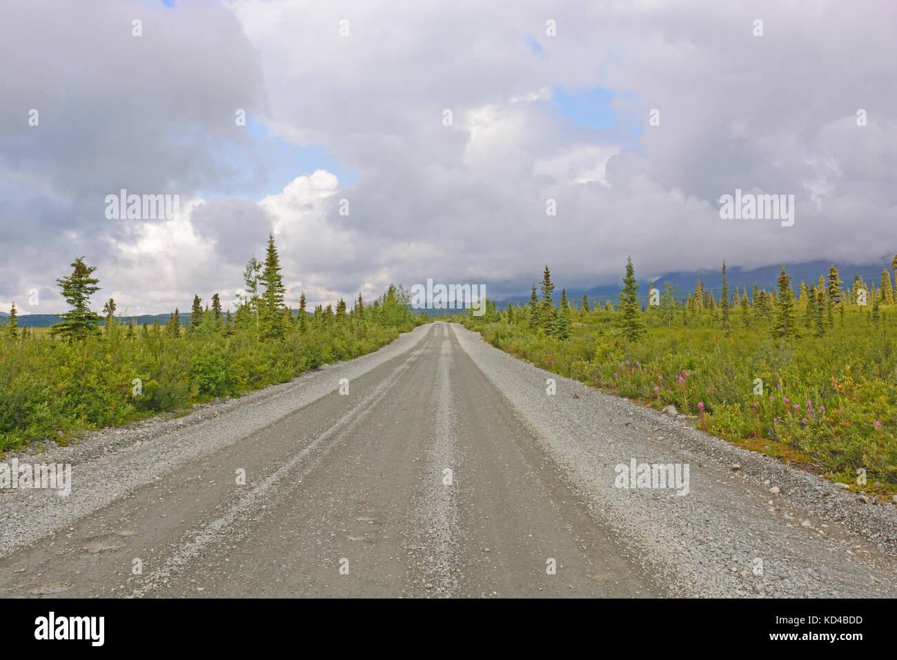 Wilderness road hi-res stock photography and images - Alamy