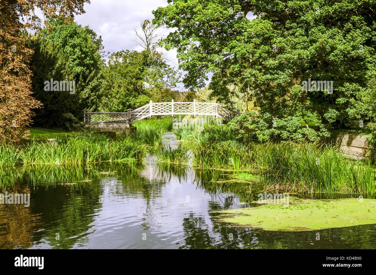 Trellised Tree High Resolution Stock Photography and Images - Alamy