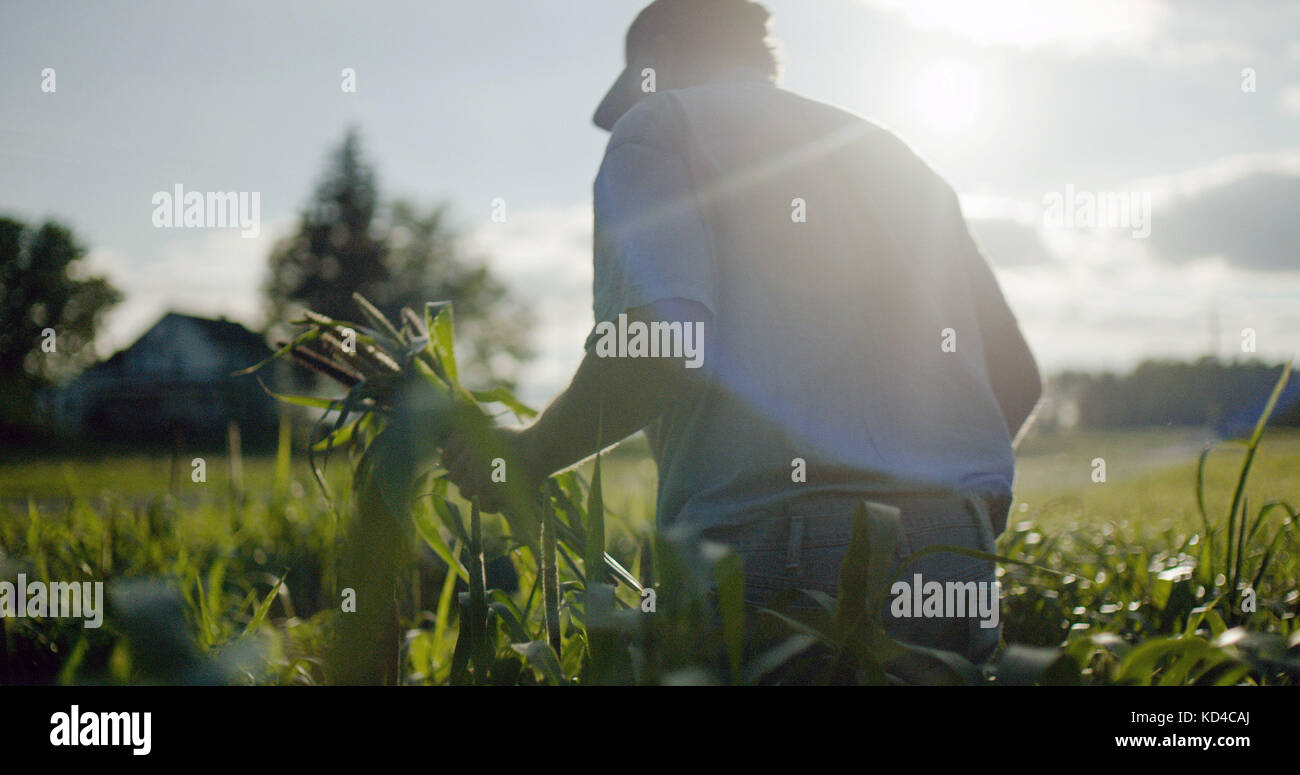 WASTED! THE STORY OF FOOD WASTE, 2017. ©Zero Point Zero Films/courtesy ...