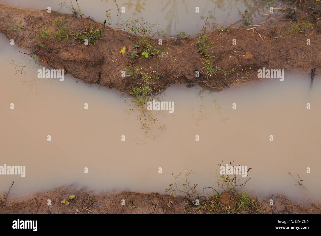 Dirty muddy puddle hi-res stock photography and images - Alamy
