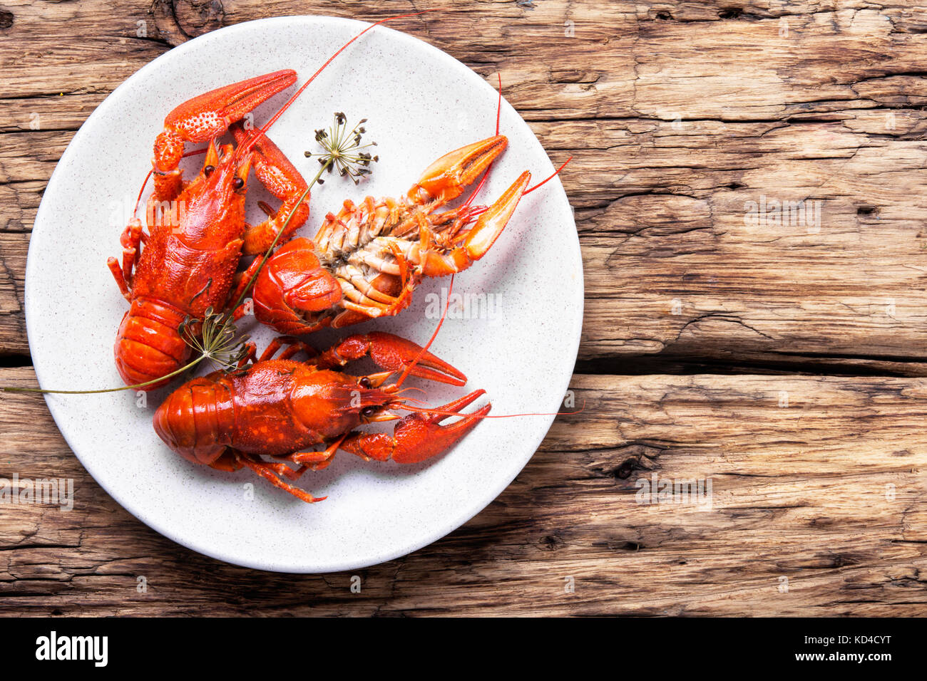 tasty seafood shellfish served on the plate Stock Photo - Alamy