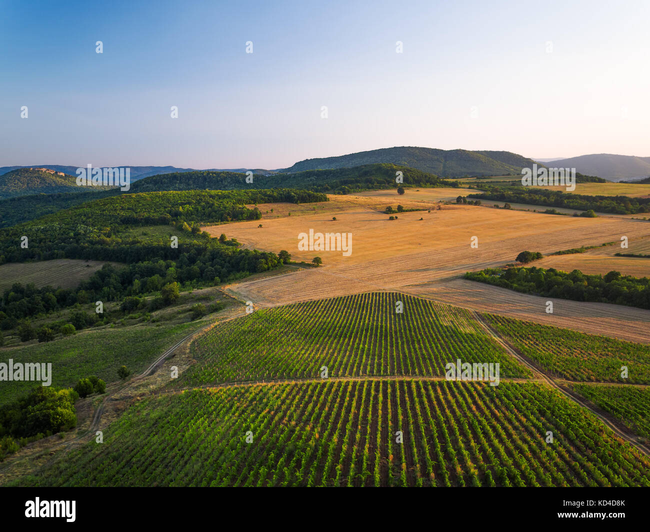 Aerial view beautiful vineyard hi-res stock photography and images - Alamy