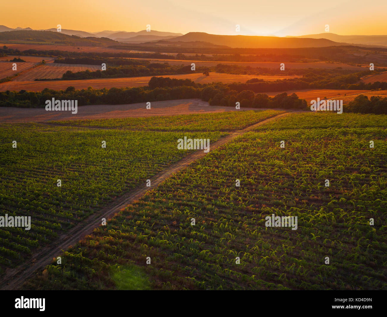 Vineyard hill sunset hi-res stock photography and images - Alamy
