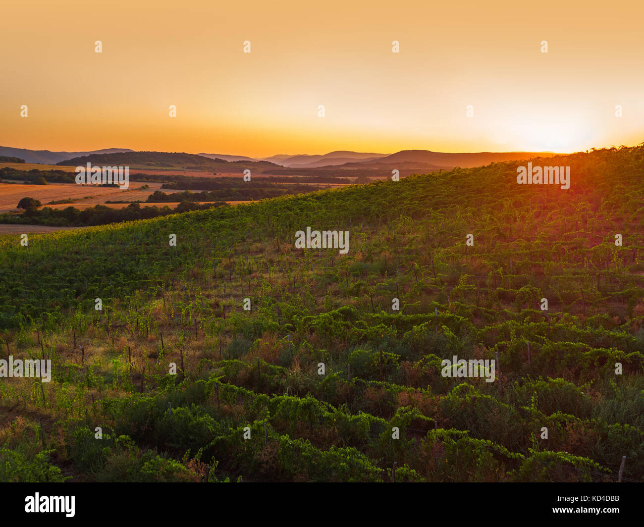 Nature sunset background hi-res stock photography and images - Alamy