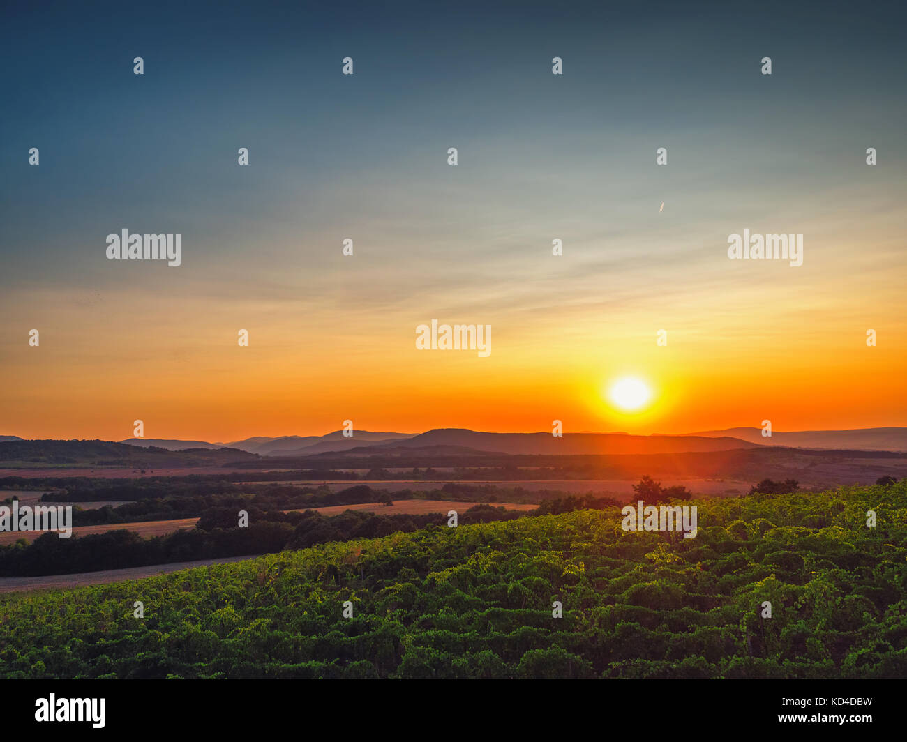 Beautiful vineyard sunset in autumn hi-res stock photography and images ...