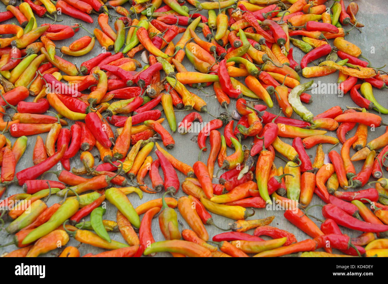 Asia chilli hi-res stock photography and images - Alamy