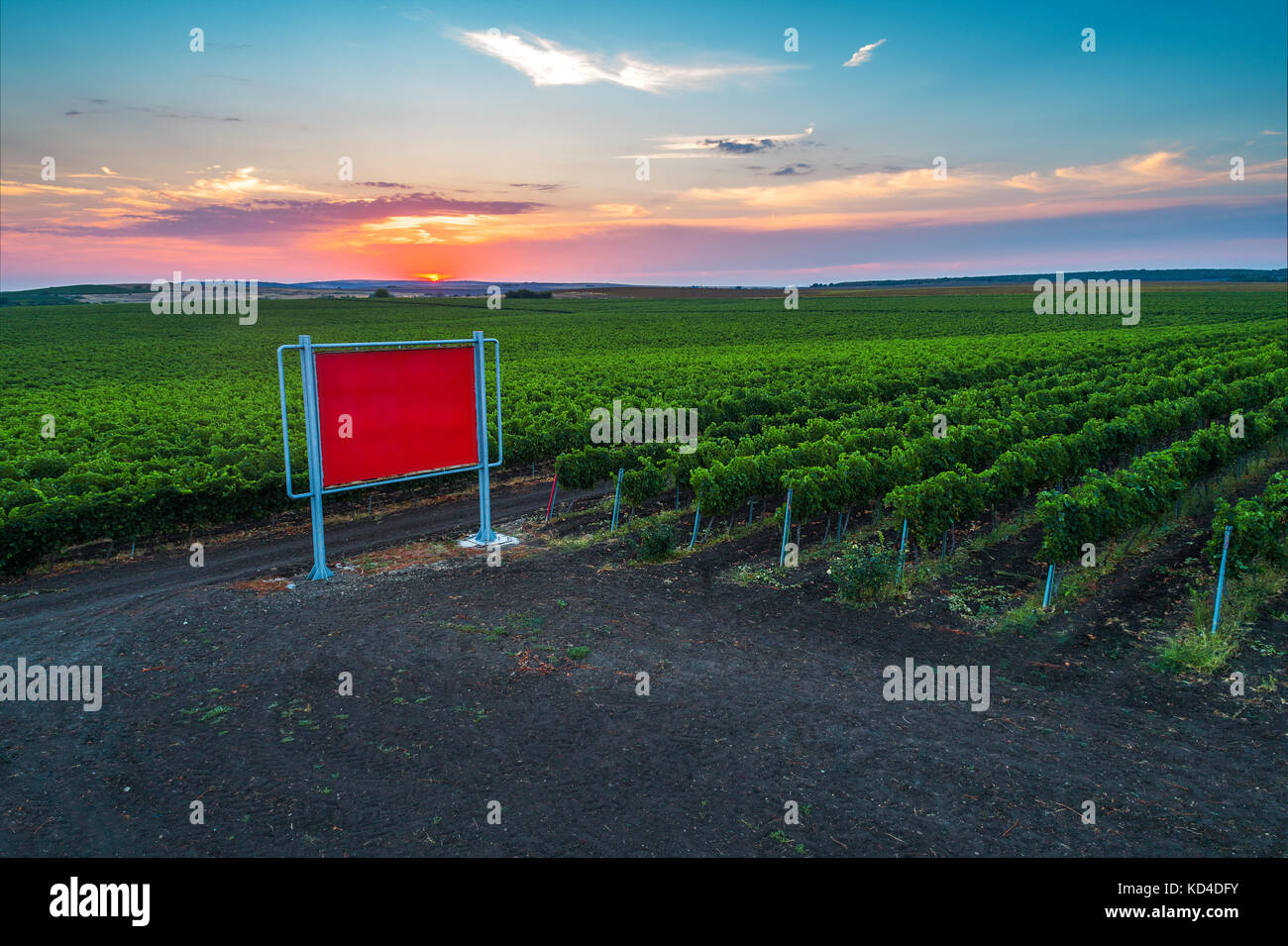 Beautiful vineyard sunset in autumn hi-res stock photography and images ...