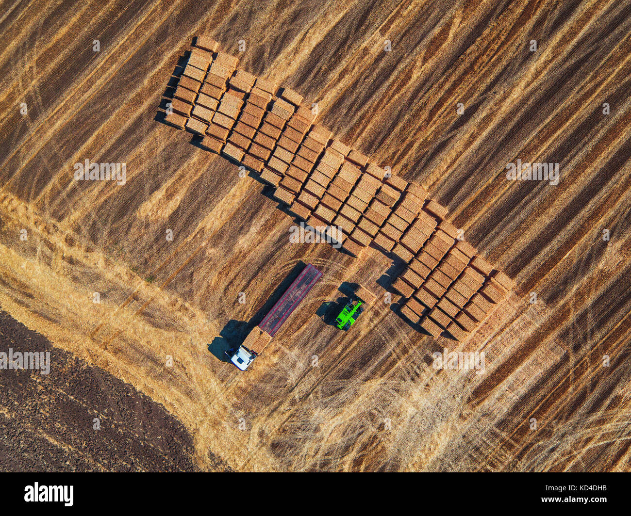 Harvest field hi-res stock photography and images - Alamy