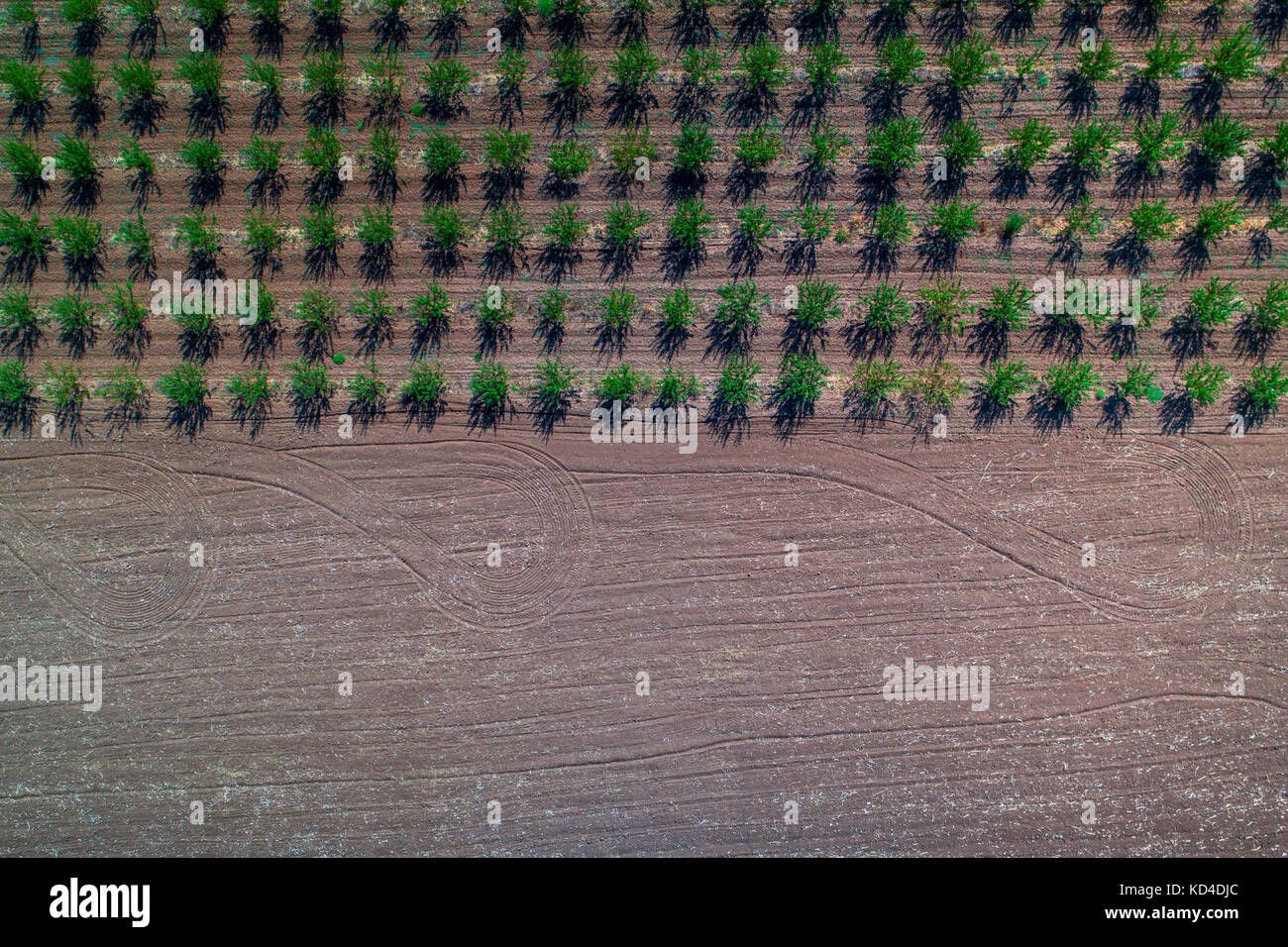 Aerial view agricultural field trees hi-res stock photography and ...
