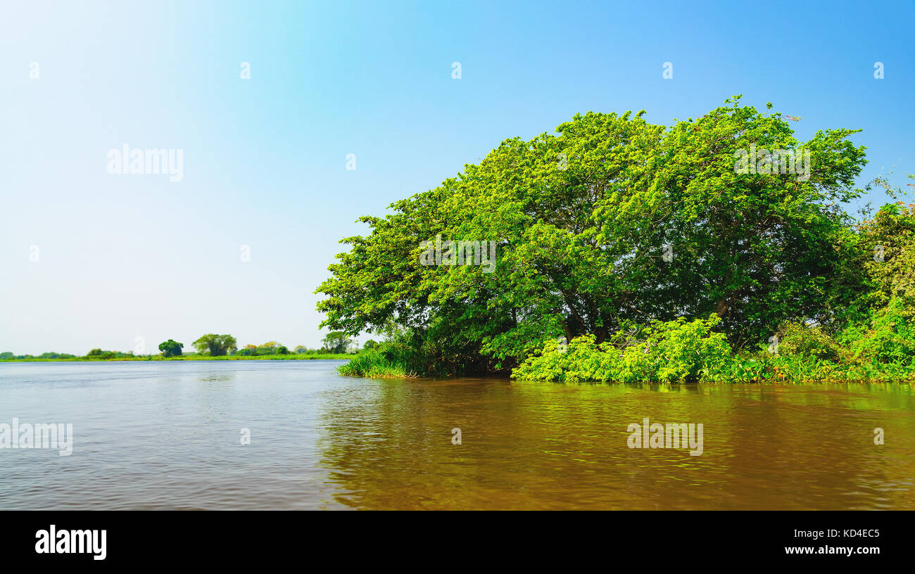 Landscape with the river and green vegetation of trees and plants on ...