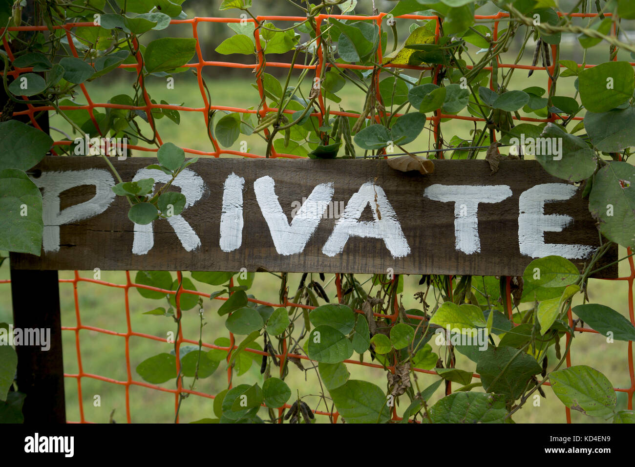 private sign closeup handwritten on block of wood with vegetation Stock ...