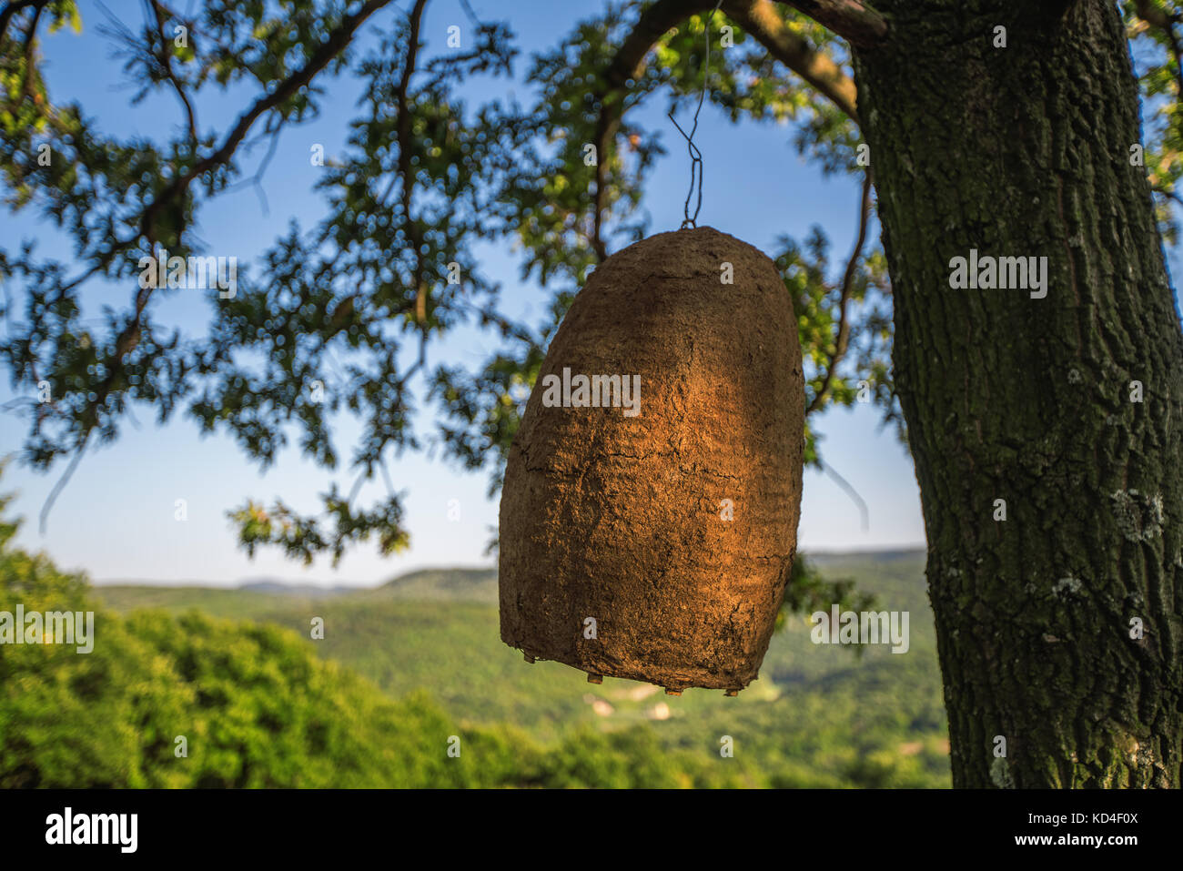 Large beehive house on a tree in the forest Stock Photo - Alamy