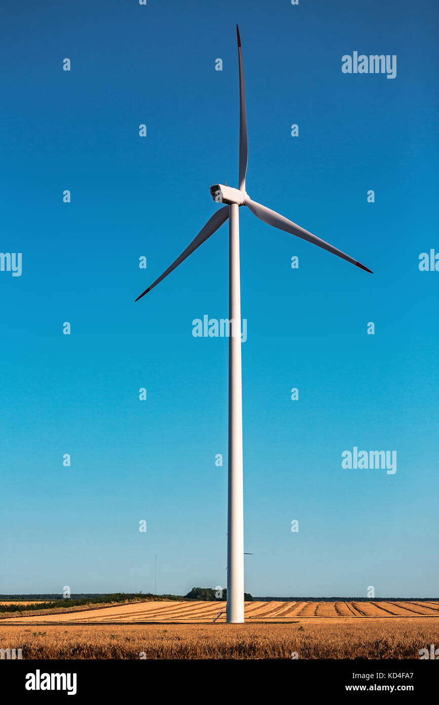 Wind turbine in a yellow field Stock Photo - Alamy