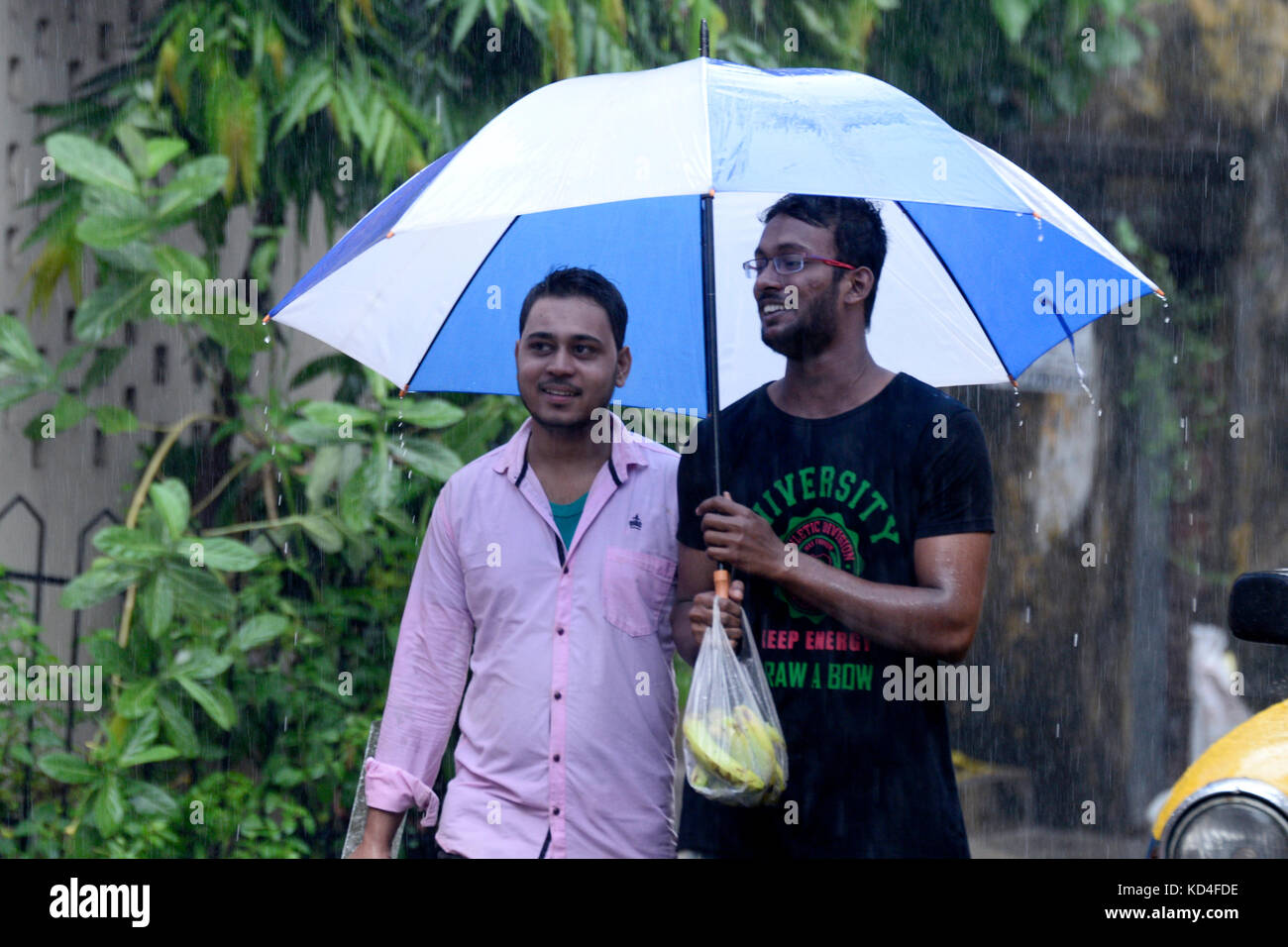 Kolkata, India. 09th Oct, 2017. Due to depression, heavy rain and storm, several trees were ...