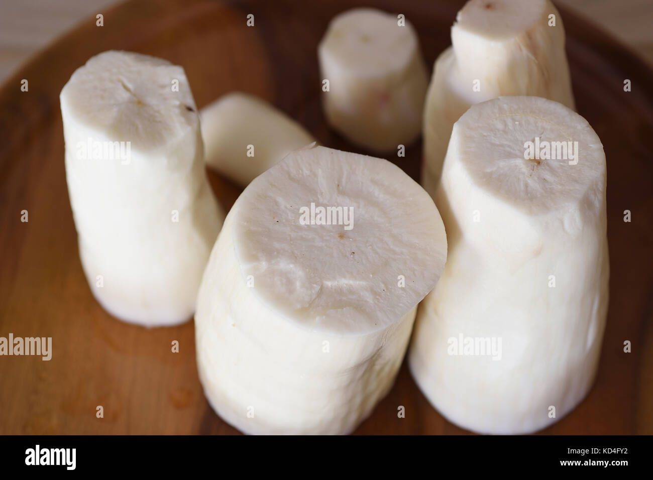 Yucca Dish High Resolution Stock Photography and Images - Alamy
