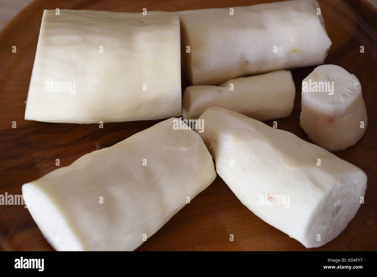 Yucca Dish High Resolution Stock Photography and Images - Alamy