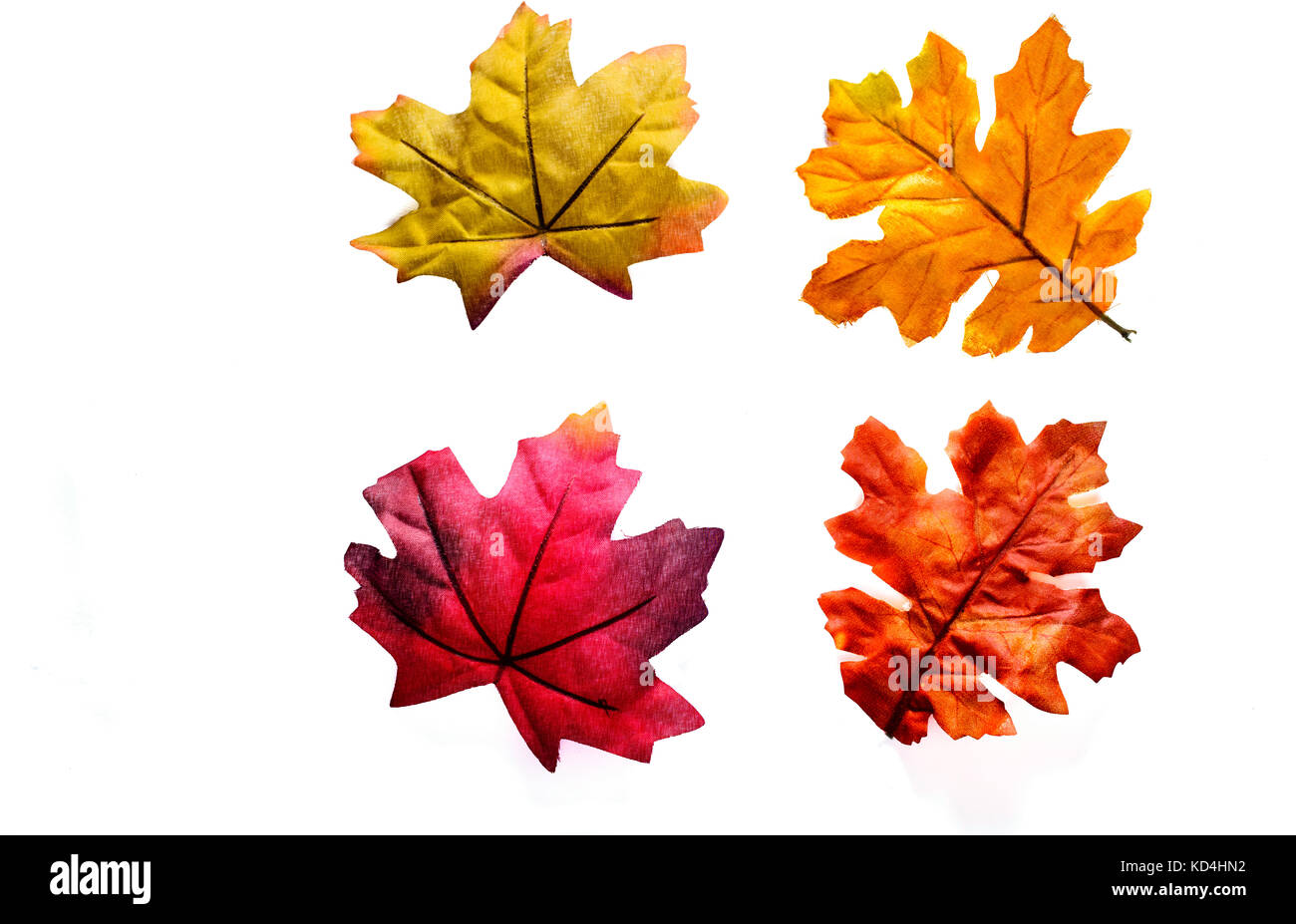 Fall Leaves Isolated Stock Photo - Alamy