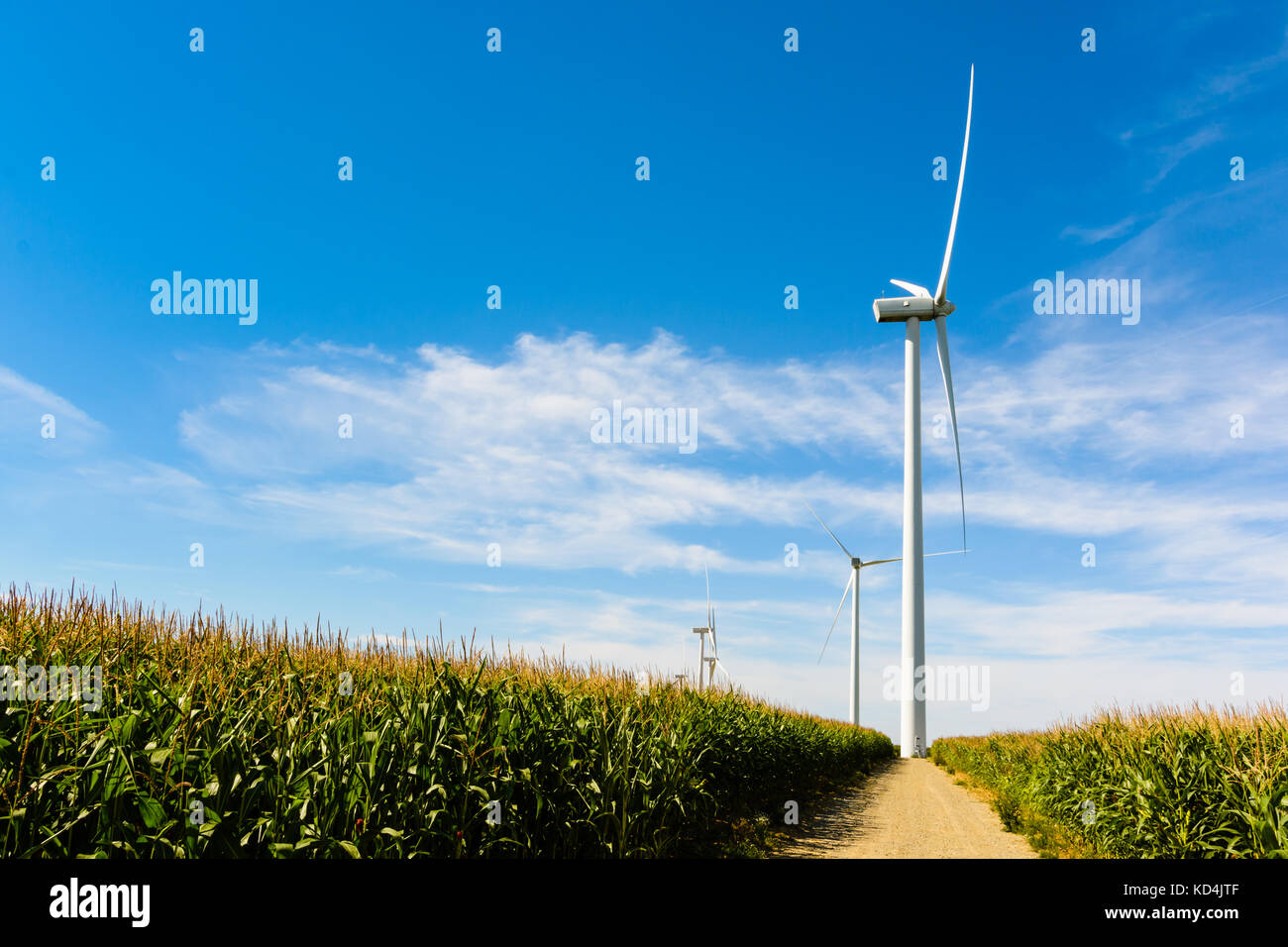 Corn power energy electricity hi-res stock photography and images - Alamy