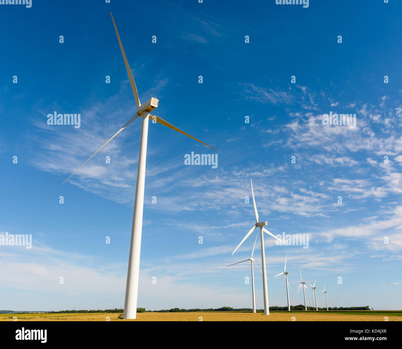 Alignment of wind turbines amid the fields generating renewable ...