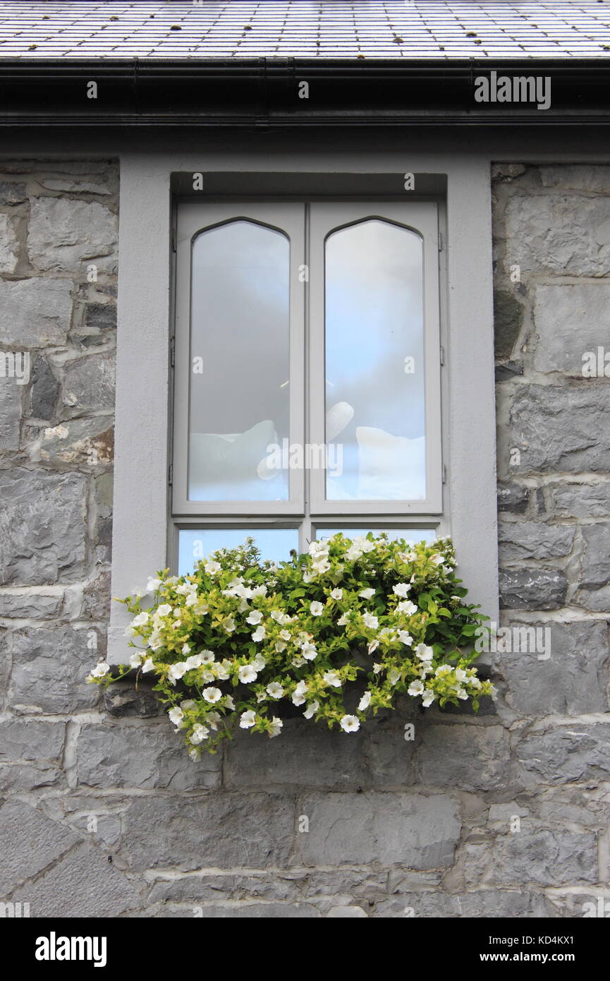 Modern window with colourful flowers Stock Photo - Alamy