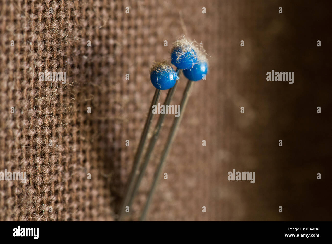 close up of needles and fixing pins Stock Photo - Alamy