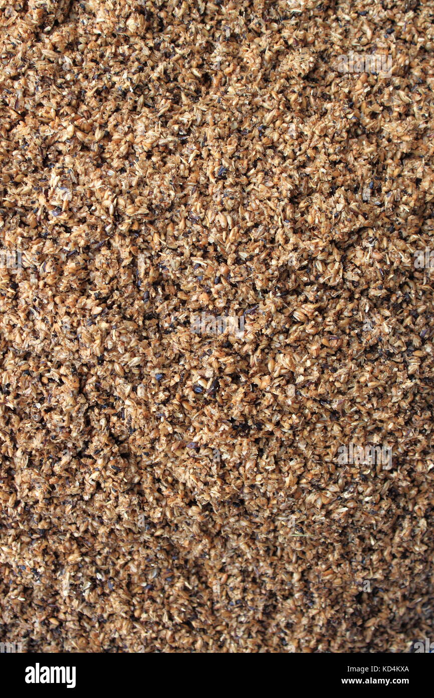 Malted barley grains being milled Stock Photo - Alamy