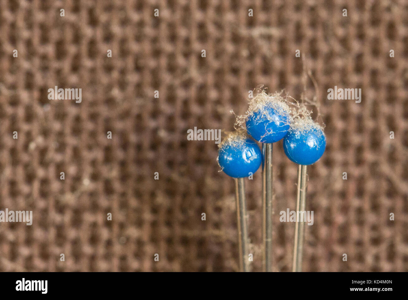 close up of needles and fixing pins Stock Photo - Alamy