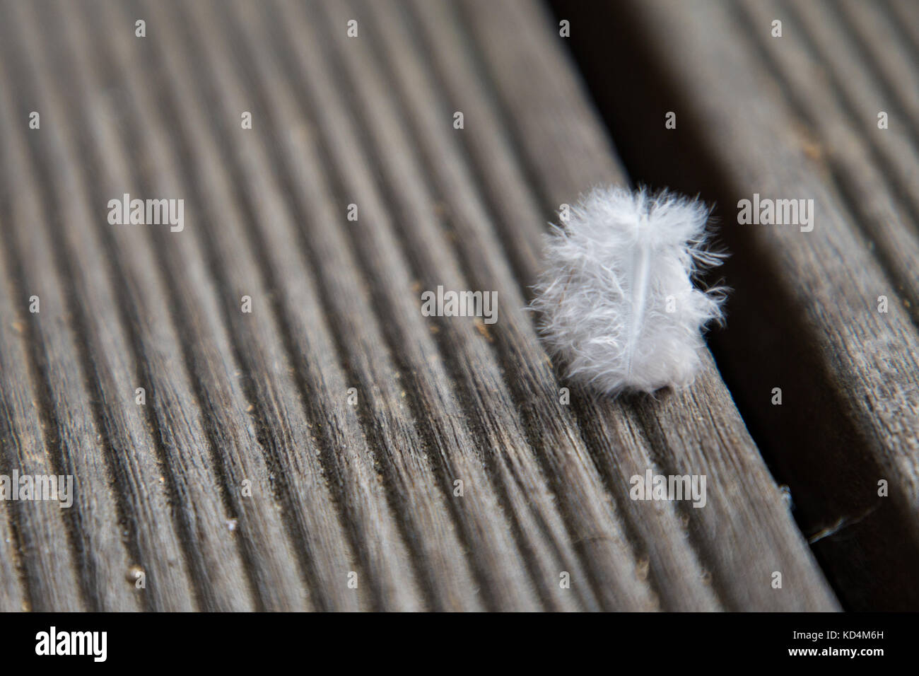 Walking the ocean floor hi-res stock photography and images - Alamy