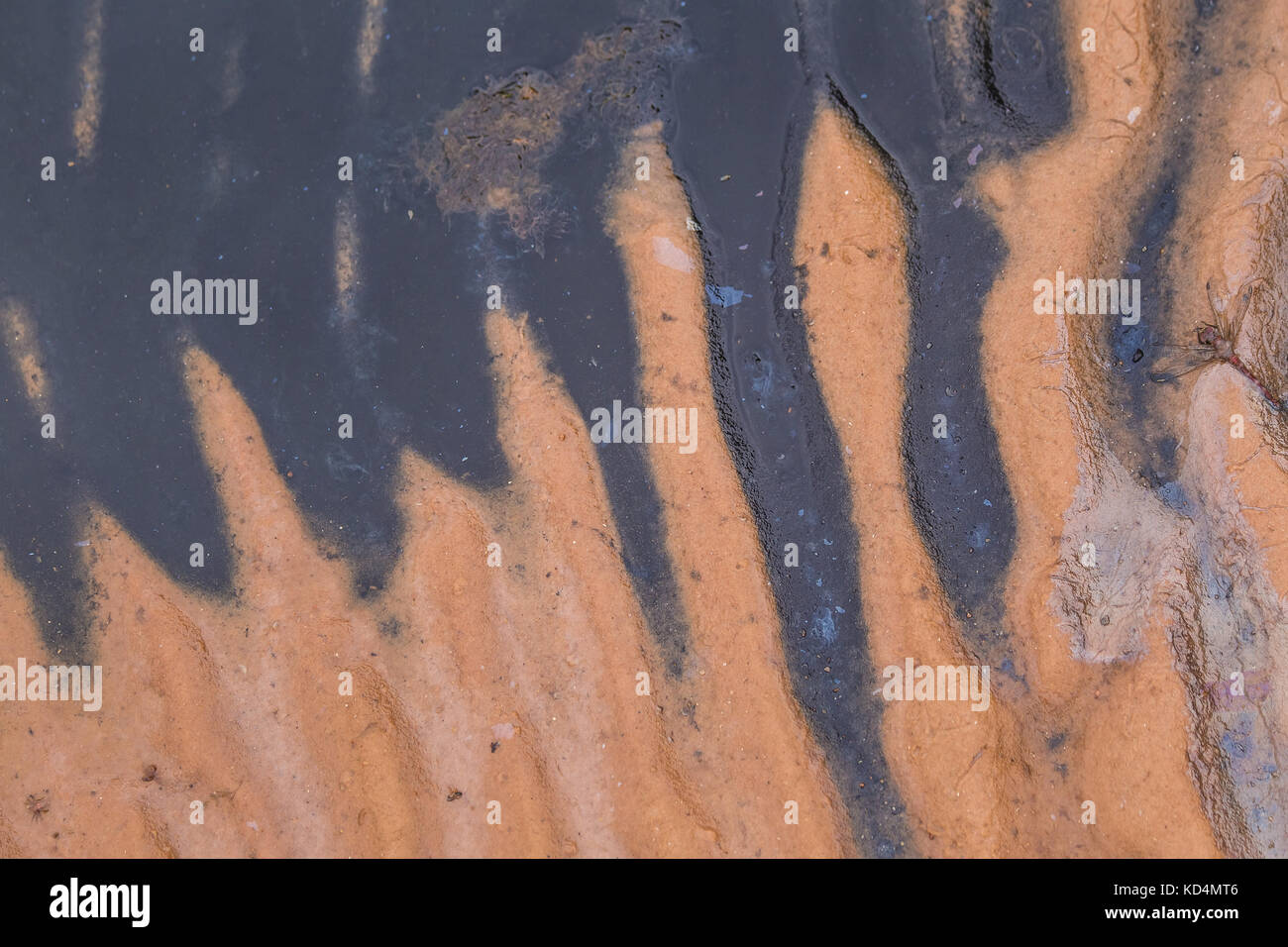 Colorful patterns of oil in the beach sand. Pollution patterns on the ...