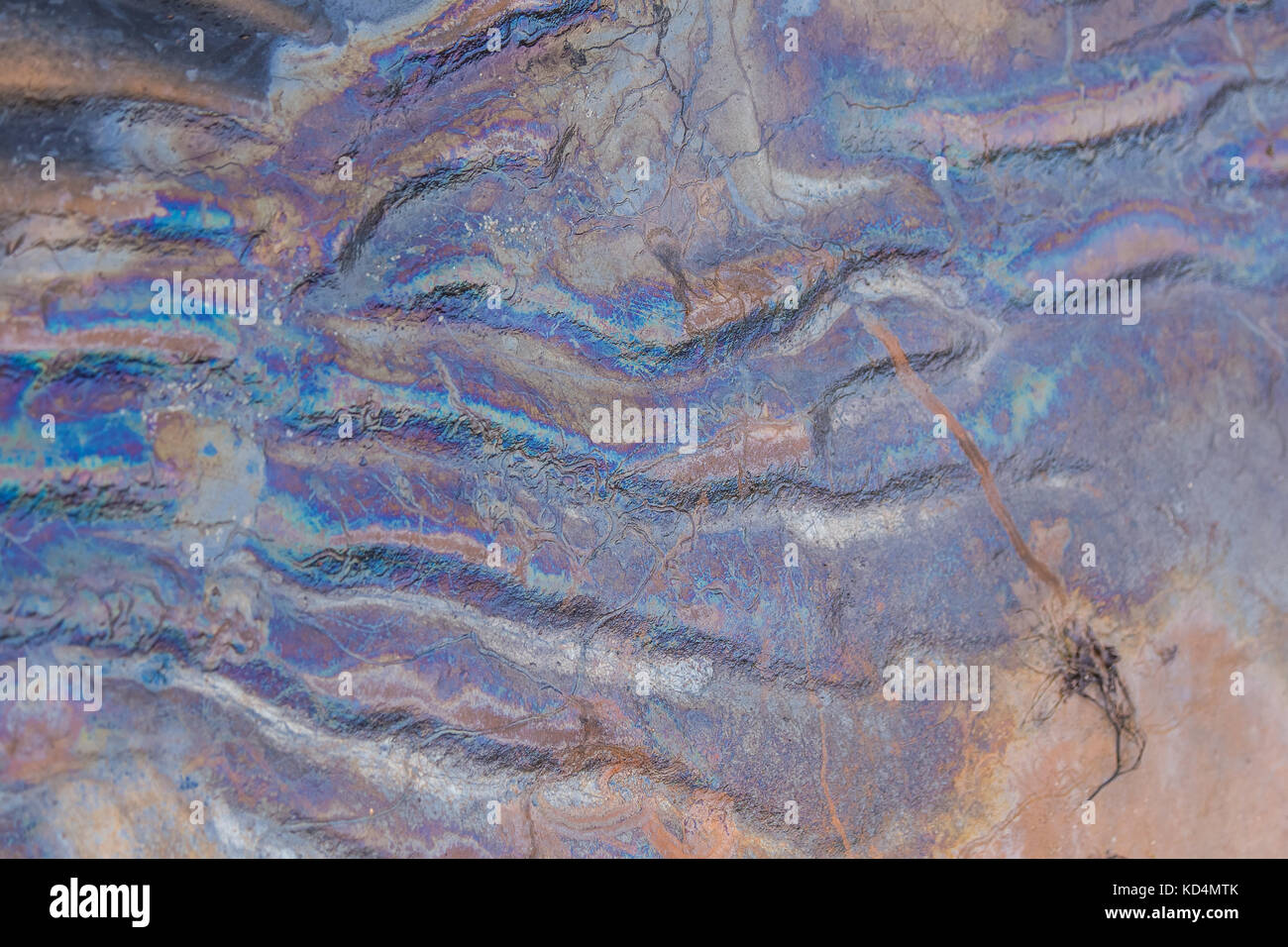 Colorful patterns of oil in the beach sand. Pollution patterns on the ...