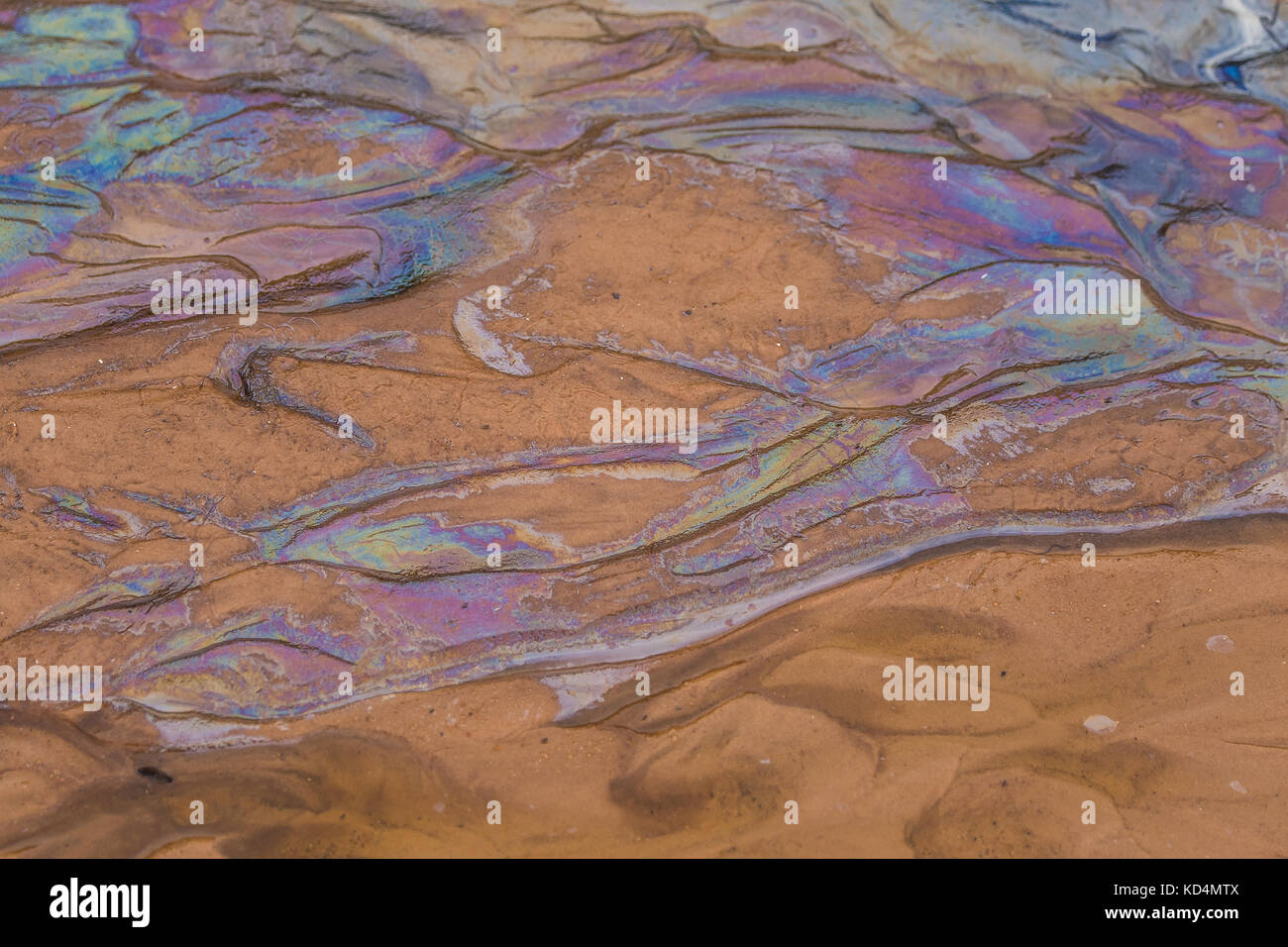 Colorful patterns of oil in the beach sand. Pollution patterns on the ...