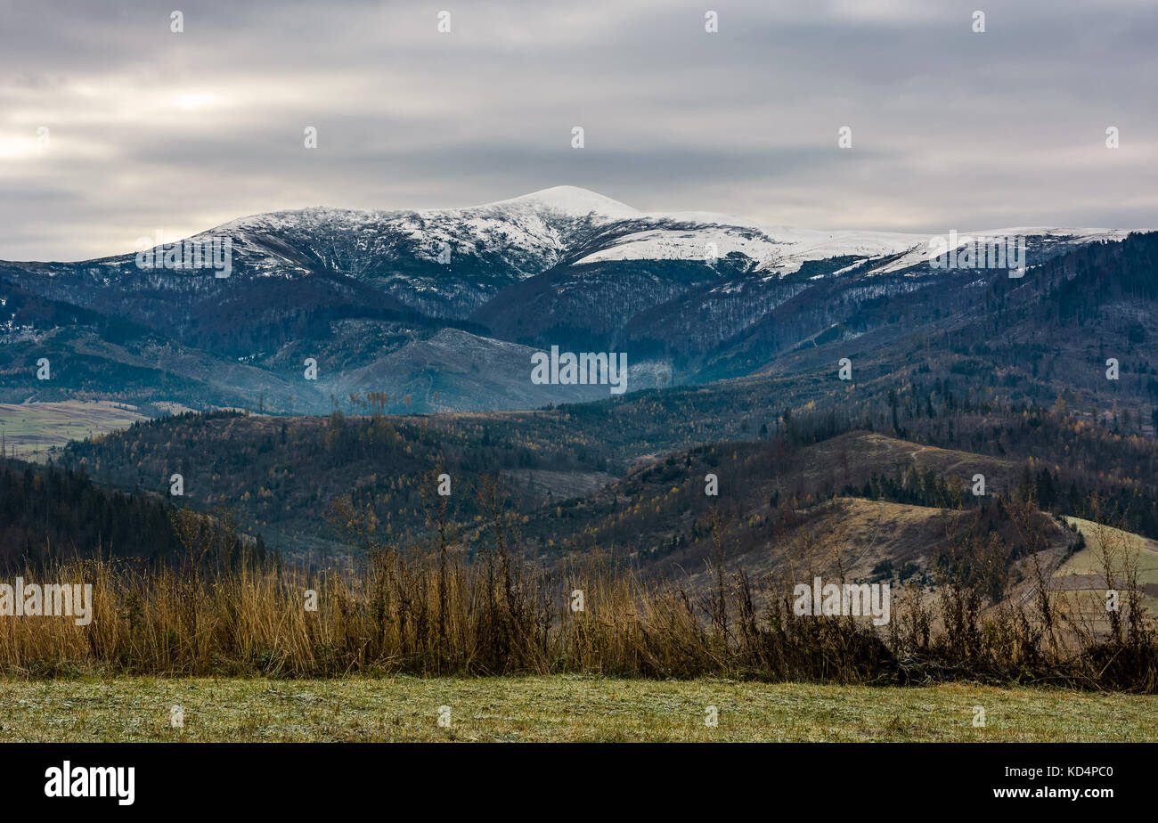 grassy meadow in mountains with snowy peaks. gorgeous and unusual ...