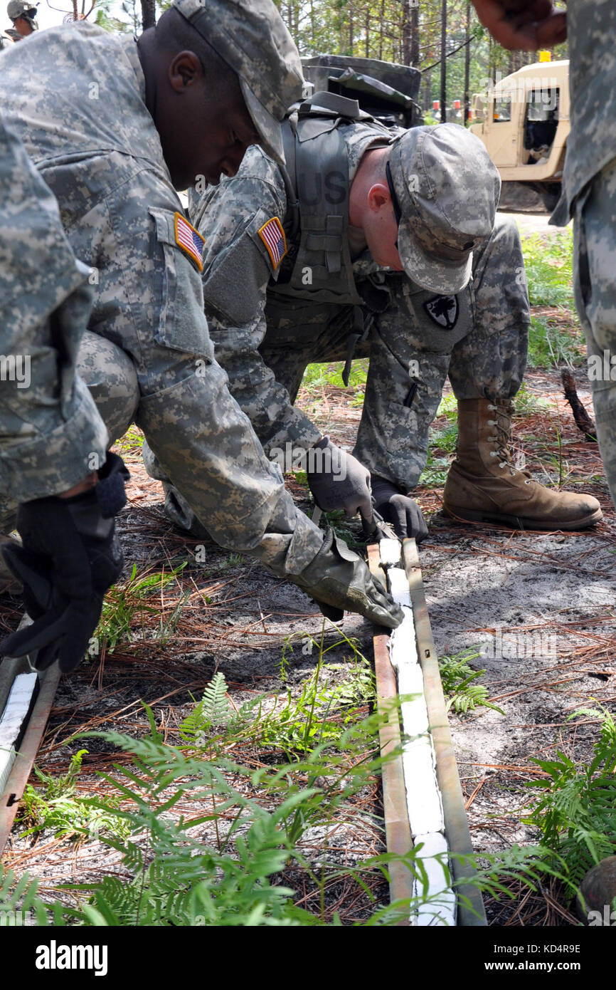 U.S. Army Soldiers with the 1222nd Engineer Company (Sapper), S.C. Army ...