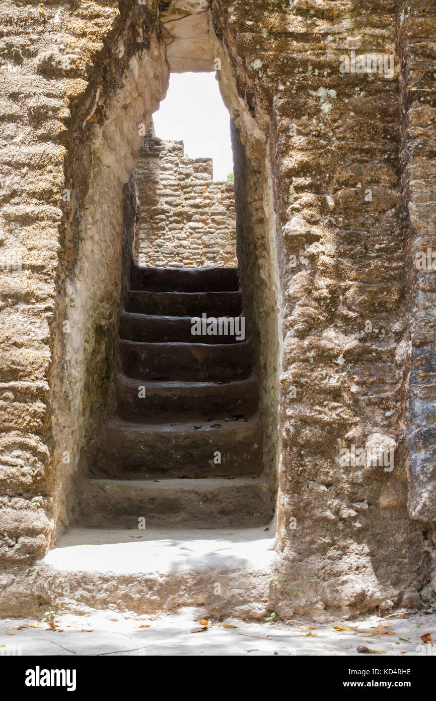 Cahal Pech Mayan ruins in San Ignacio Belize Stock Photo - Alamy