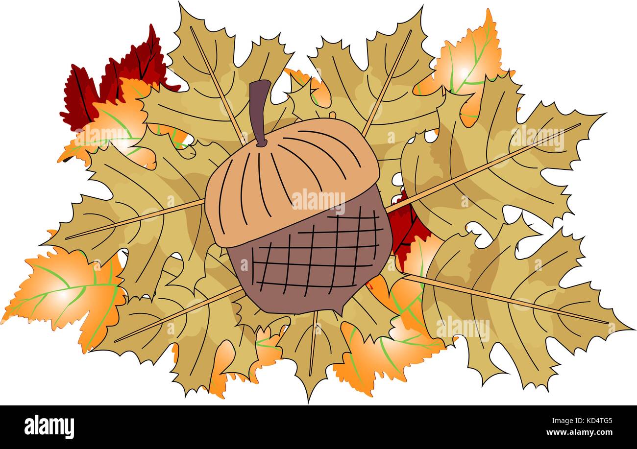 Thanksgiving greeting card autumn Cut Out Stock Images & Pictures - Alamy