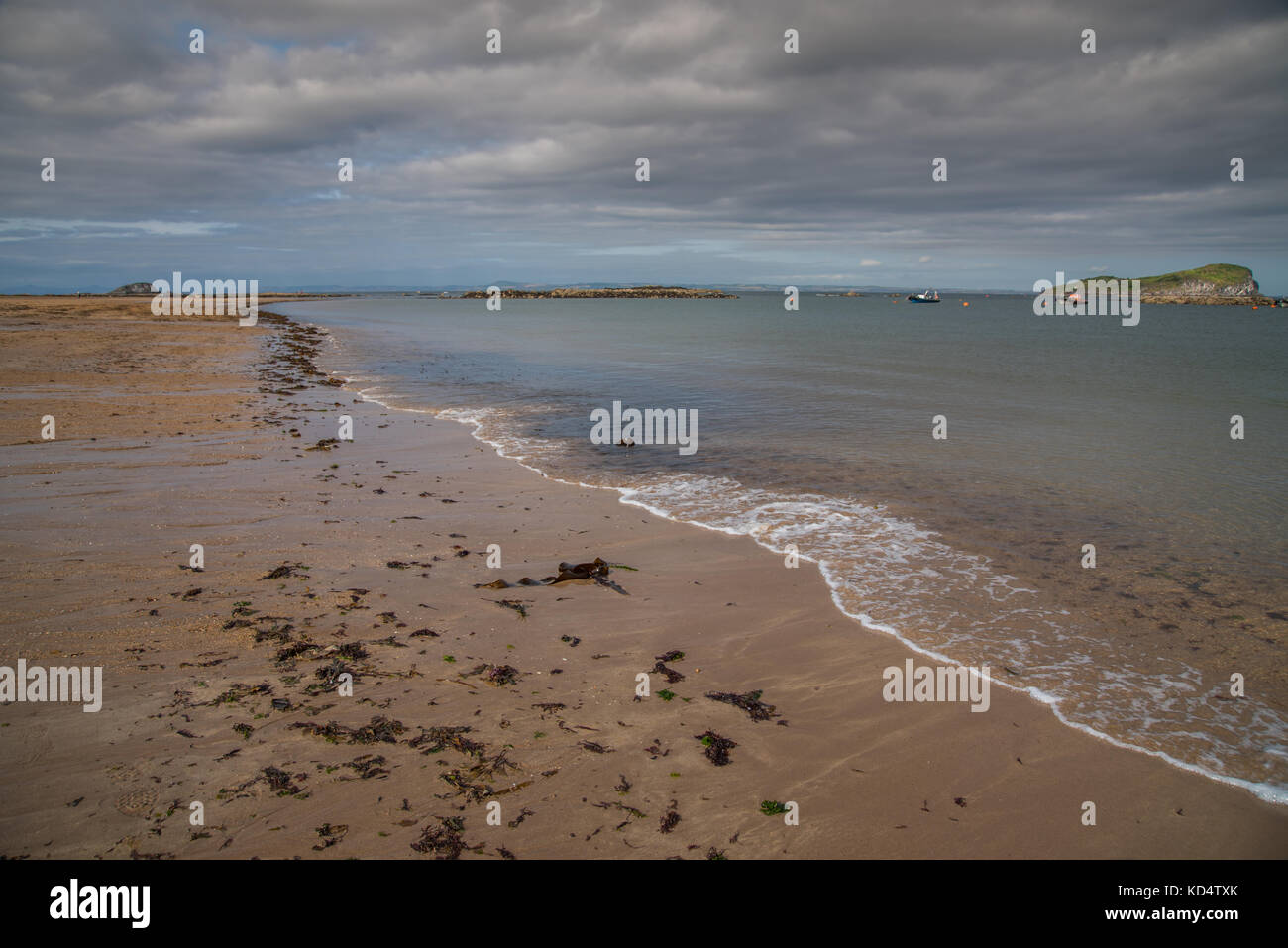 North Berwick, Scotland - view of the beach Stock Photo - Alamy