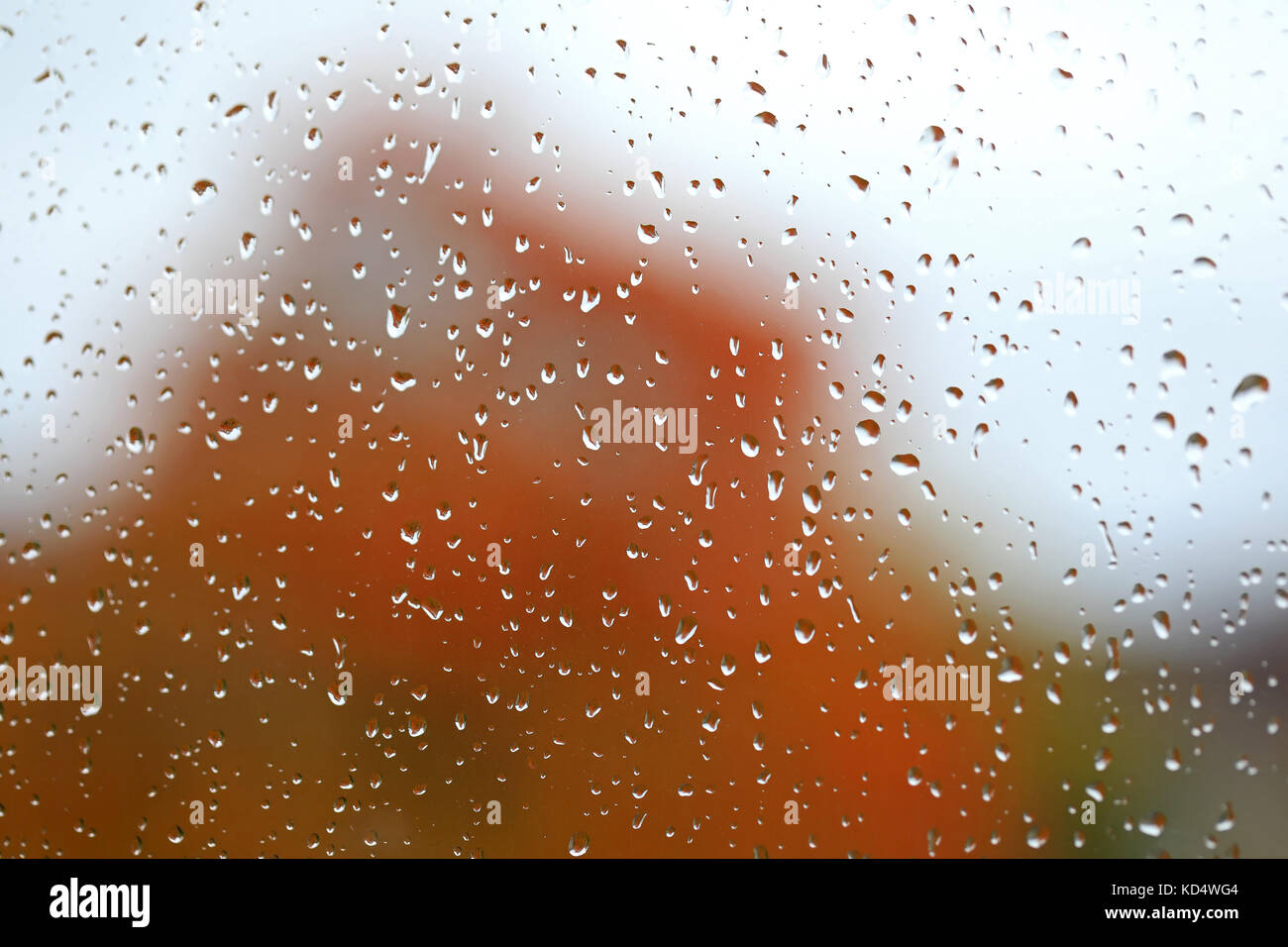 Fall outside my window hi-res stock photography and images - Alamy