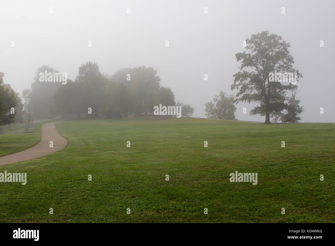The beauty of nature on a cloudy and foggy day in the parks Stock Photo ...