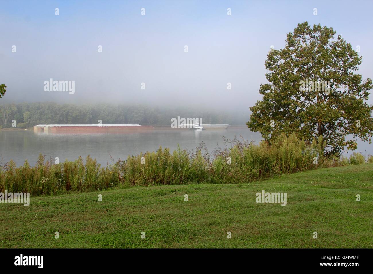 The beauty of nature on a cloudy and foggy day in the parks Stock Photo ...