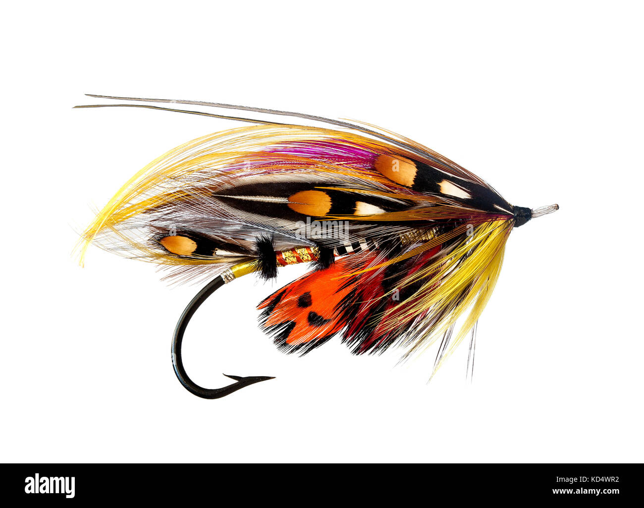 Fully dressed hi-res stock photography and images - Alamy