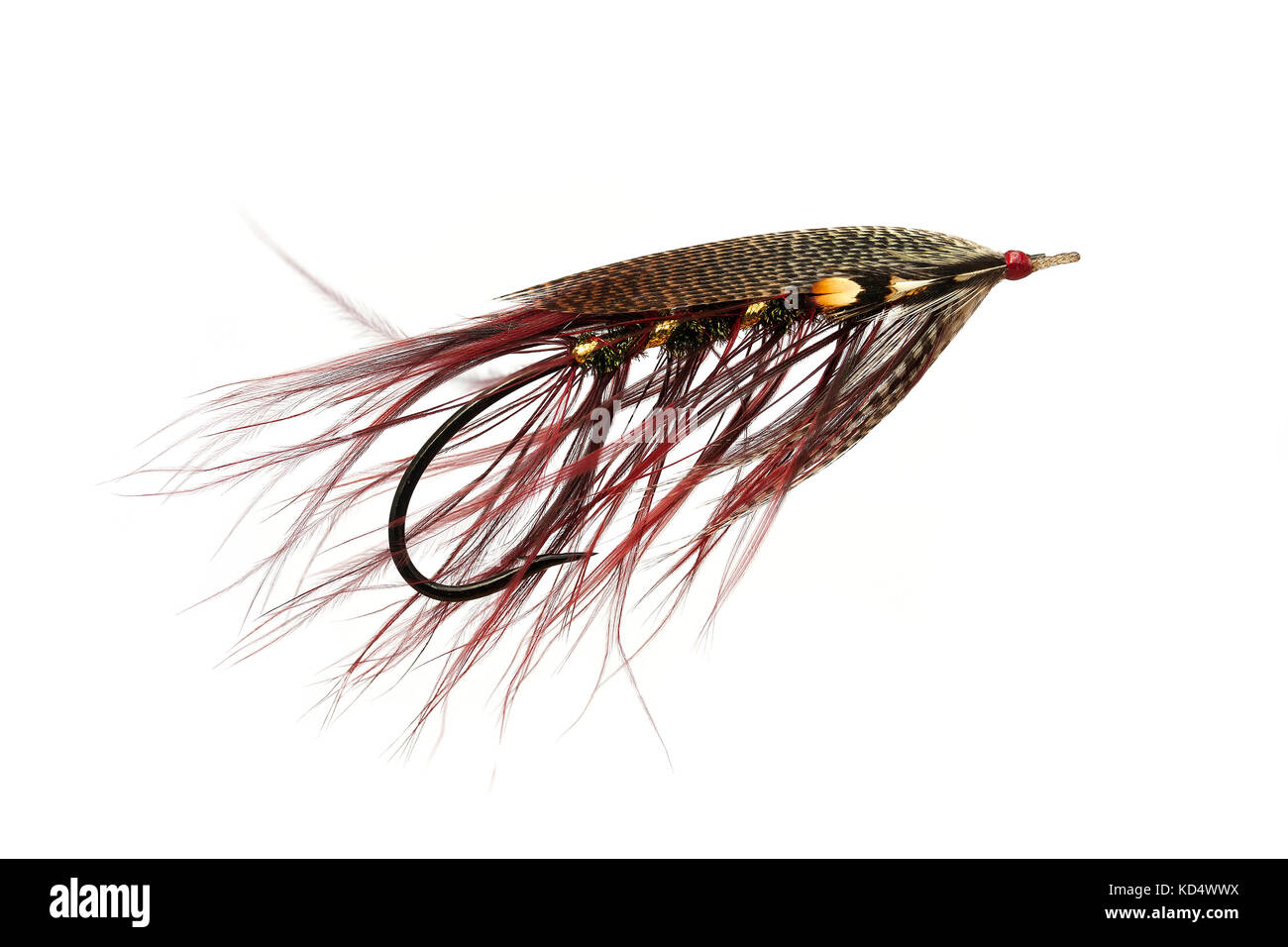 A 'fully dressed' traditional hand tied salmon fly Stock Photo - Alamy