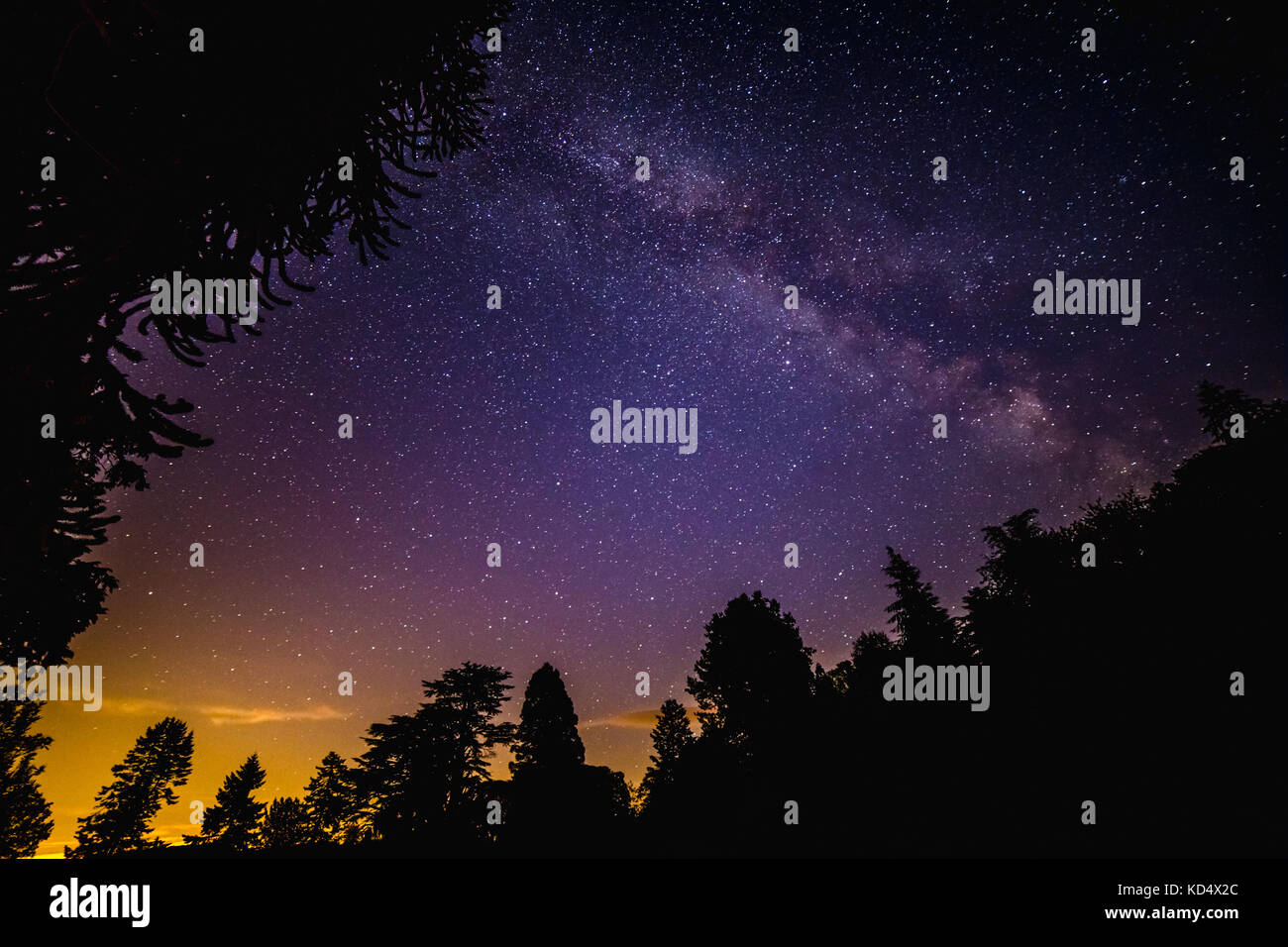 Milky Way galaxy over forrest in Shropshire UK Stock Photo - Alamy