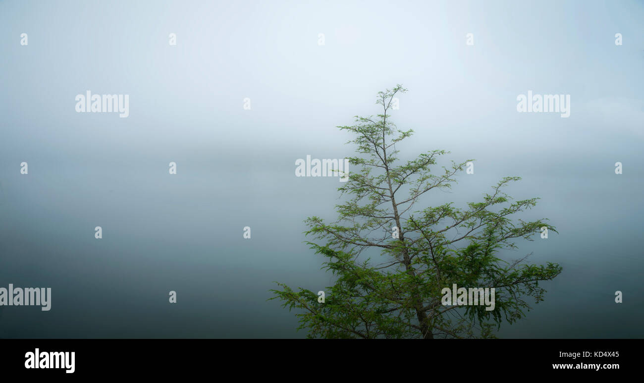 Mist lake fog scenery hi-res stock photography and images - Alamy