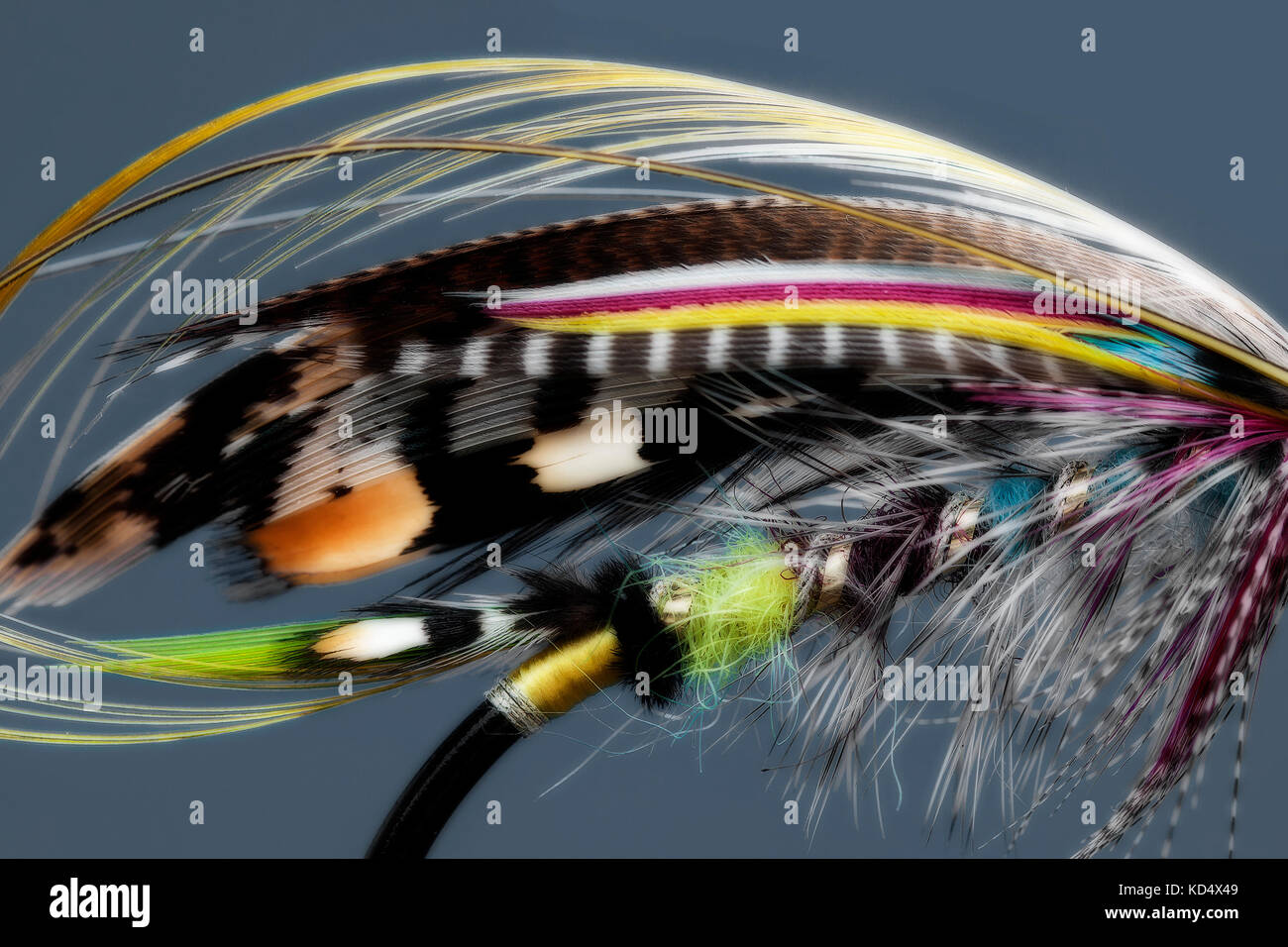 A 'fully dressed' traditional hand tied salmon fly Stock Photo - Alamy