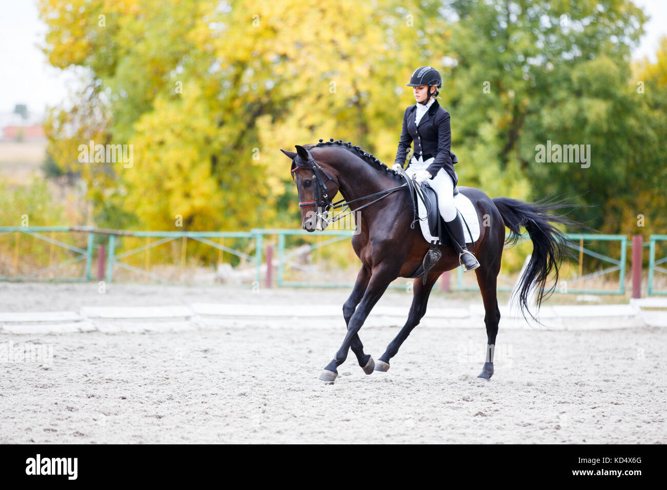 Young rider woman on bay horse performing advanced test on dressage ...