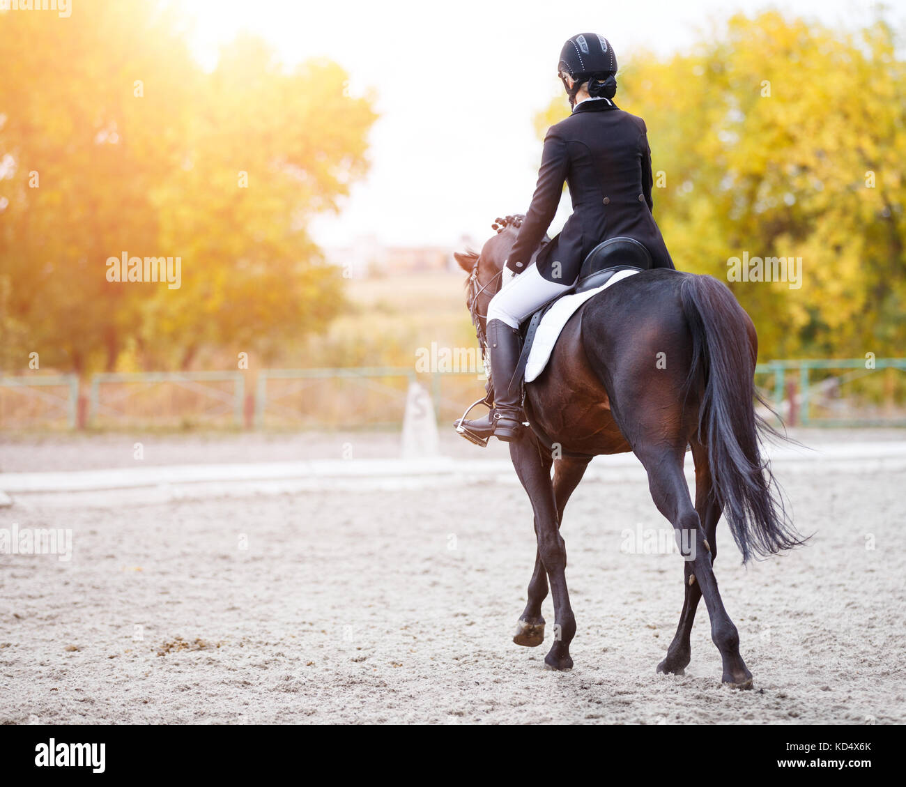 Young rider woman on bay horse performing advanced test on dressage ...