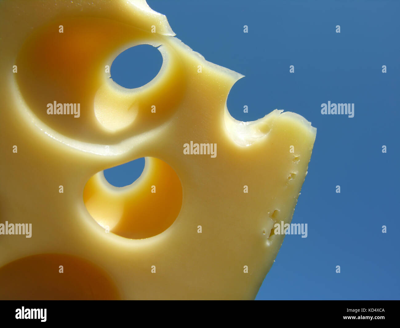 close-up of cheese slice against blue sky background , backlit Stock ...